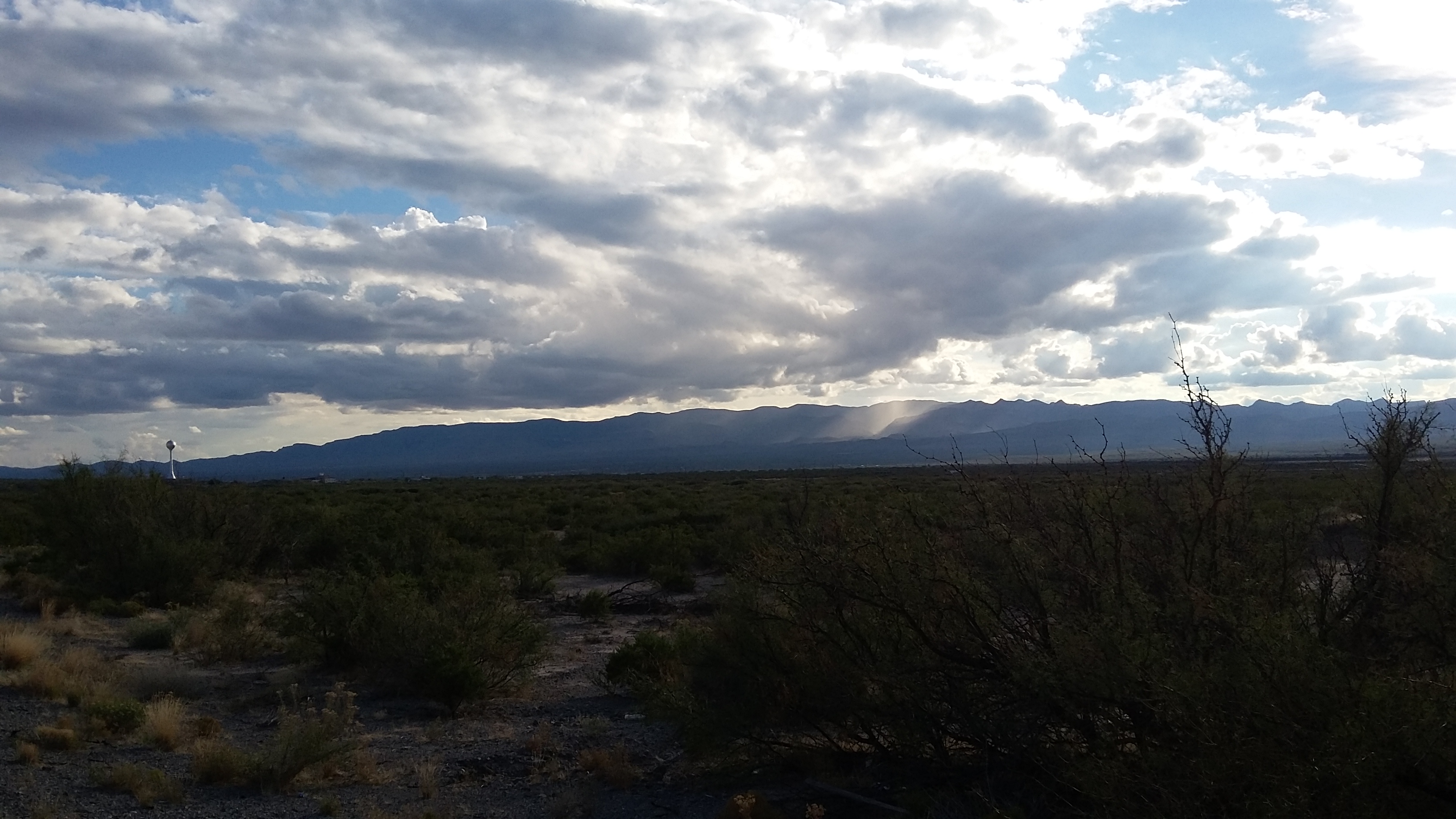 Notes on Arid America | Travels in the Chihuahuan Desert